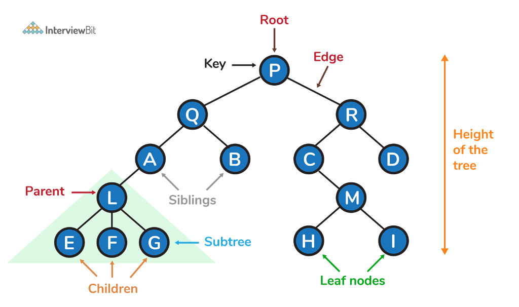 What Is A Tree Data Structure Web Development Discussion Forum 